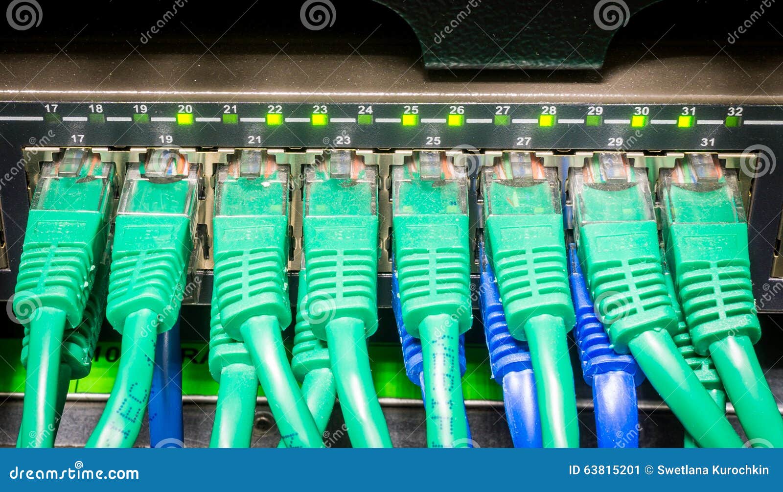 Close Up of Green Network Cables Connected To Stock Image - Image of ...