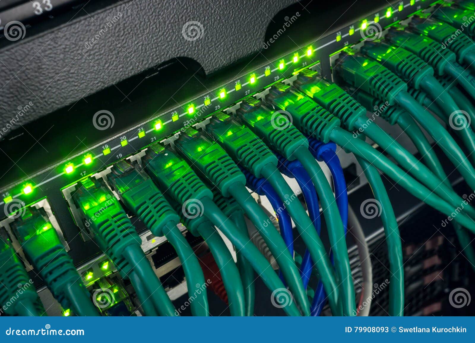 Close Up of Green Network Cables Connected To Switch Glowing Stock ...