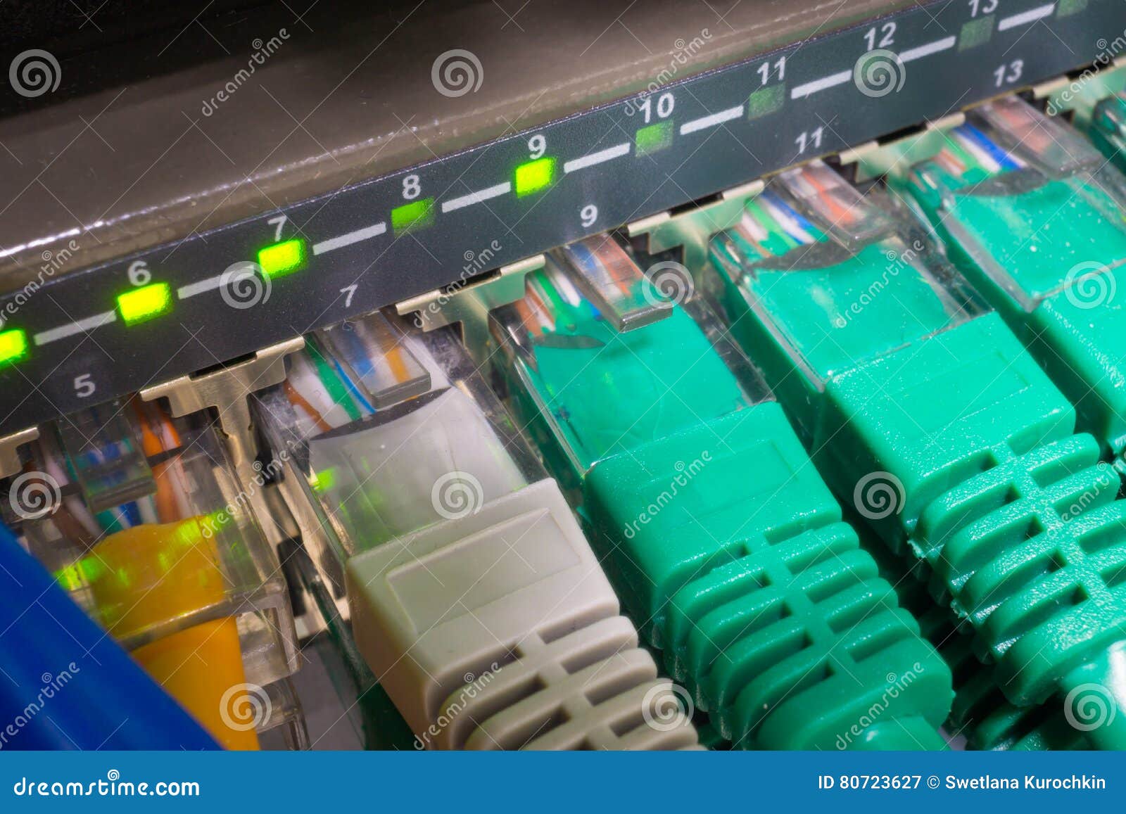 Close Up of Green Network Cables Connected To Switch Glowing Stock ...