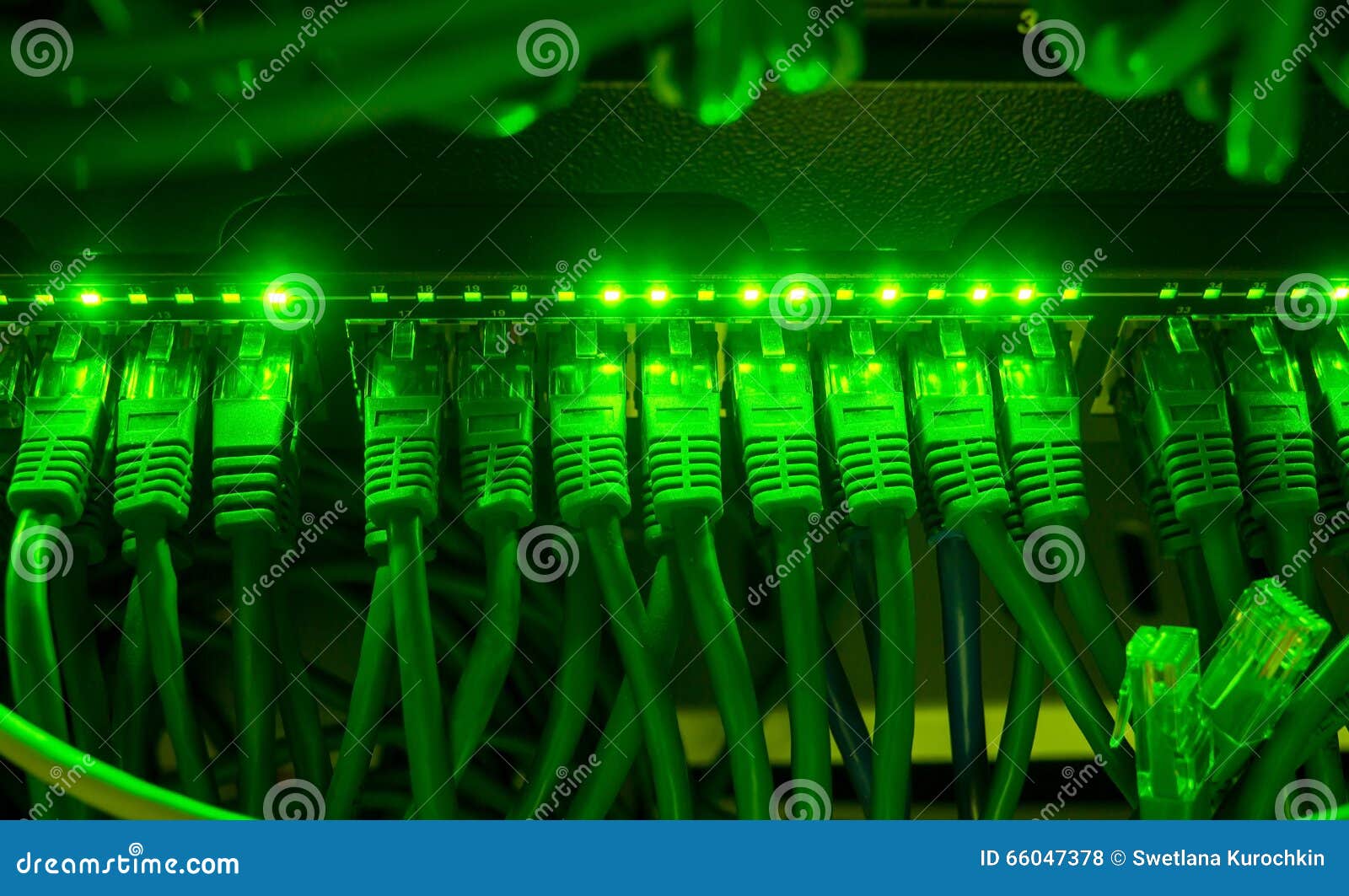 Close Up of Green Network Cables Connected To Switch Glowing in the ...