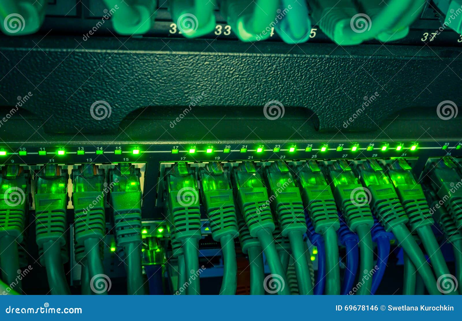 Close Up of Green Network Cables Connected To Switch Glowing in the ...