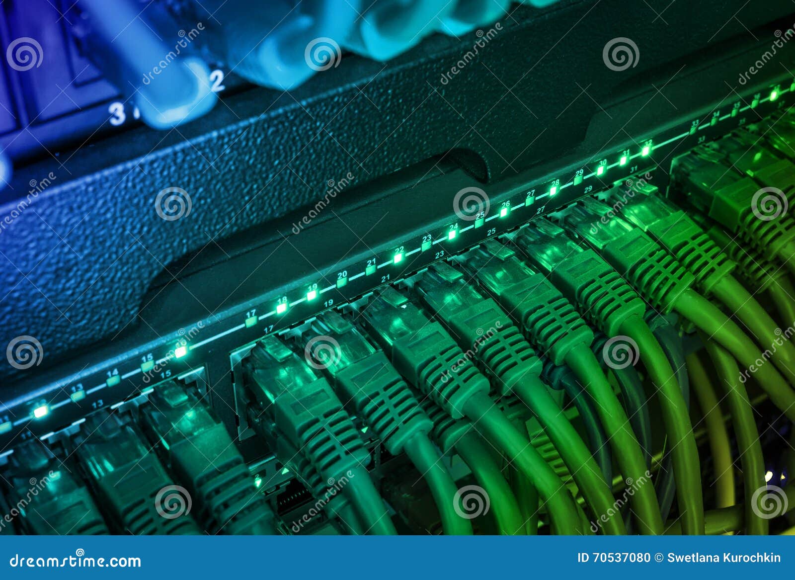 Close Up of Green Network Cables Connected To Switch Glowing in the ...