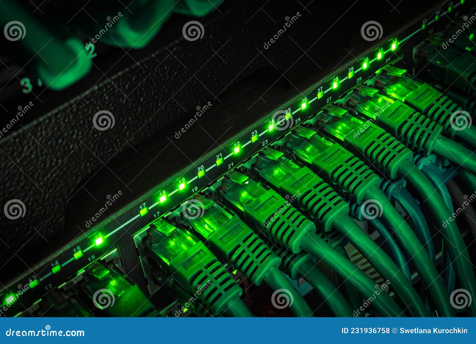 Close Up of Green Network Cables from Data Center Connected with Patch ...