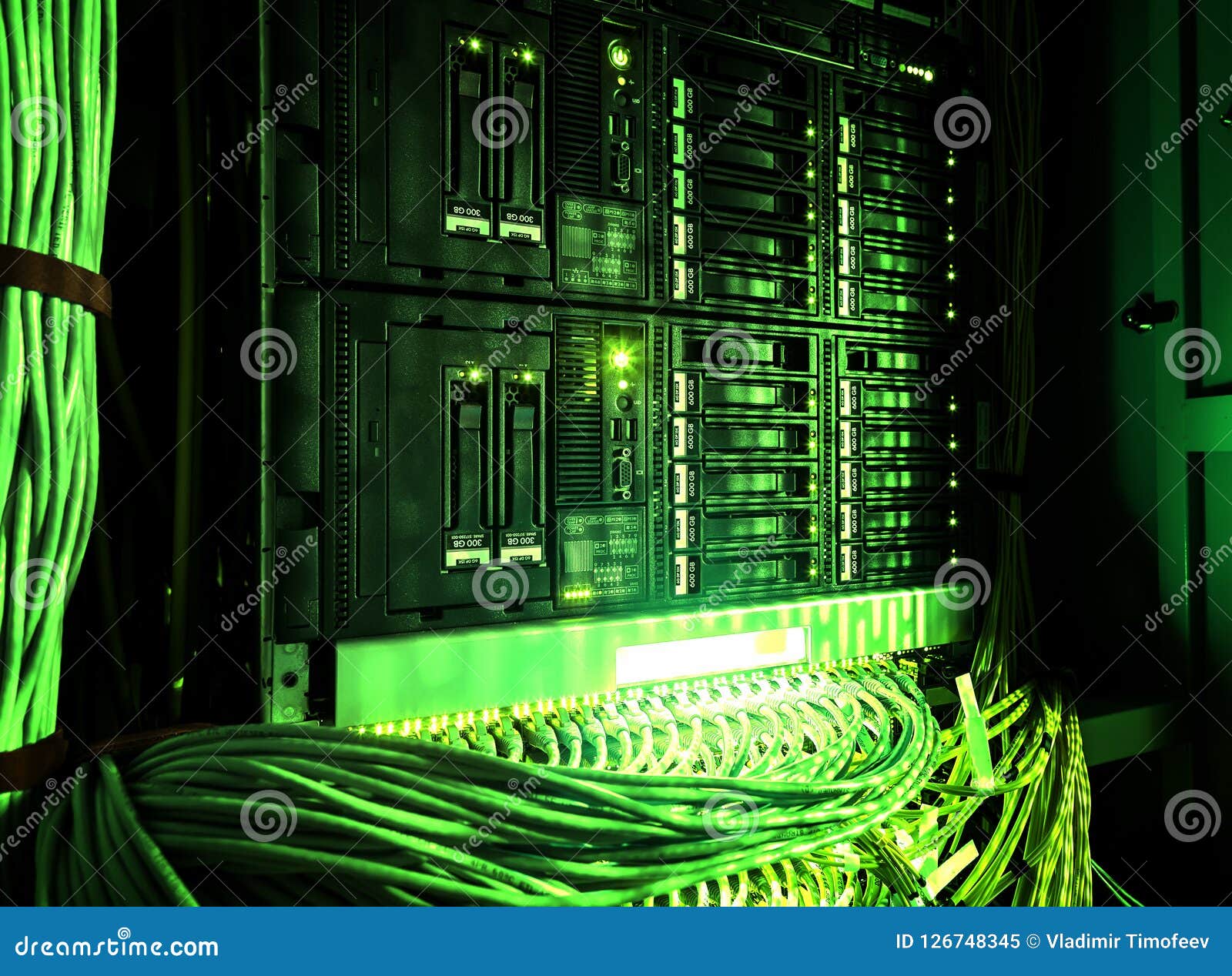 Close Up of Green Network Internet Cables, Patch Cords Connected To ...