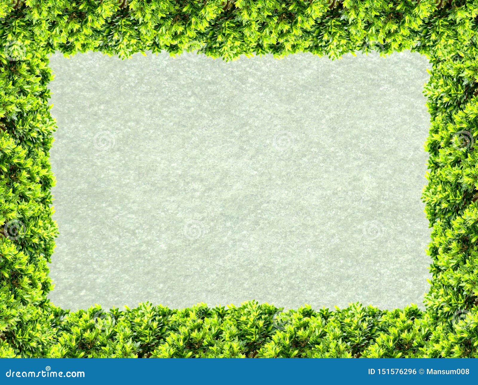 Green Plant Frame Background Stock Photo - Image of leaf, leaves: 151576296