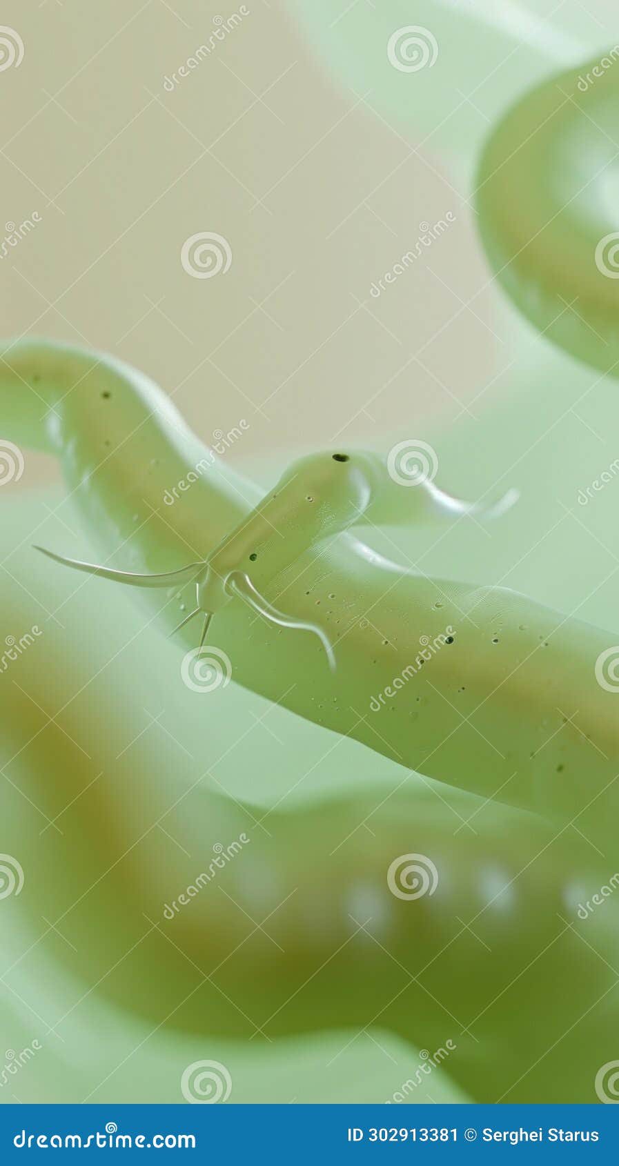 Close Up Of Snake On Rock, Detailed View Of Serpent Resting On Rocky ...