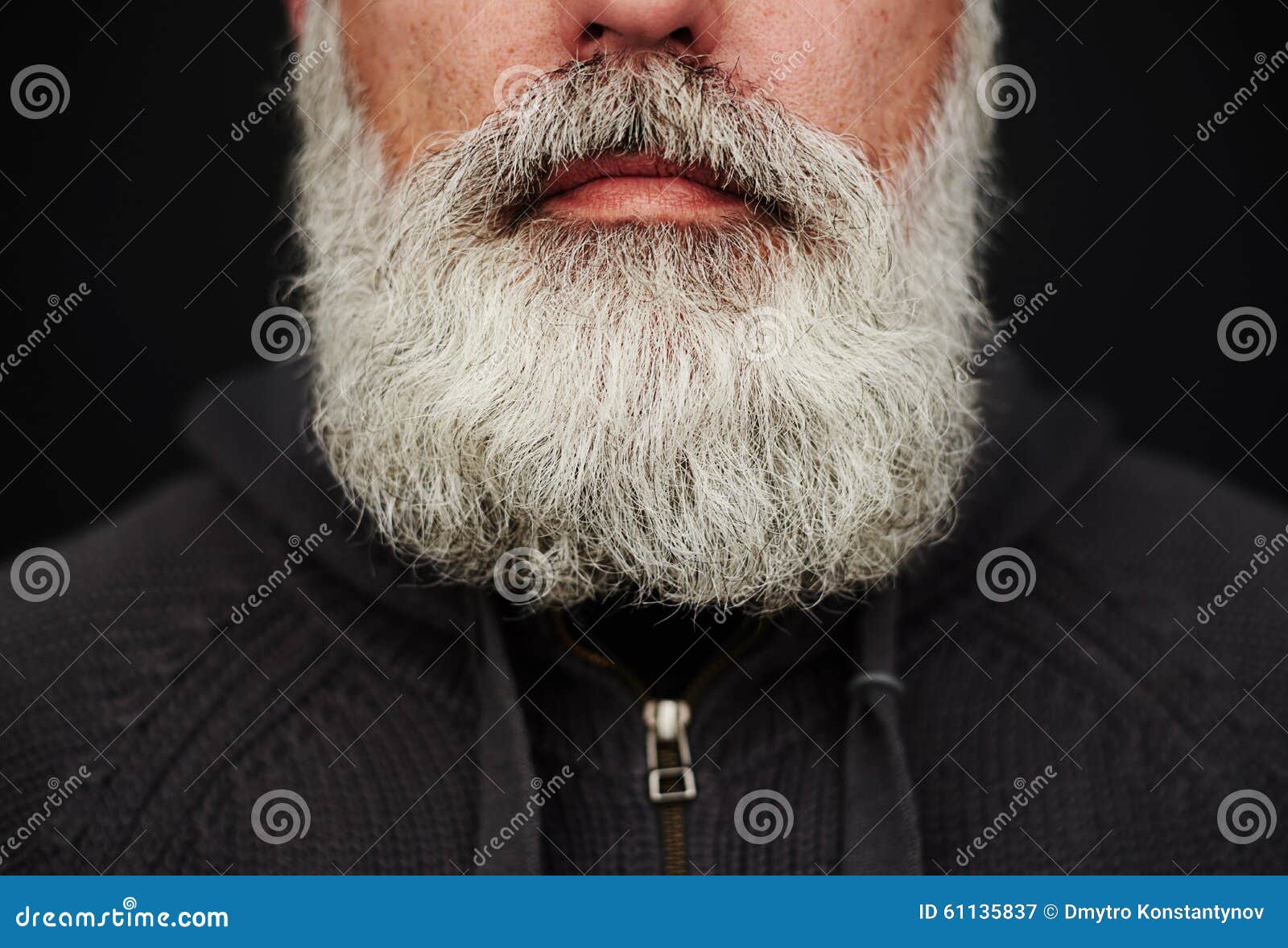 Close-up grey-haired beard stock image. Image of person - 61135837