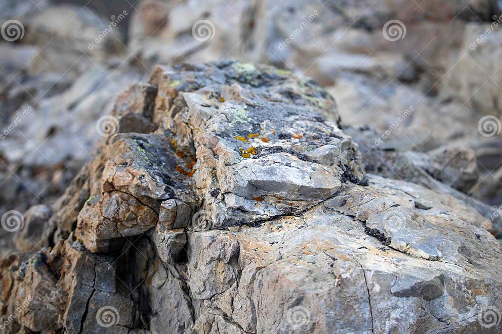 Close-Up of Grey Rock with Cracks Stock Image - Image of textured ...