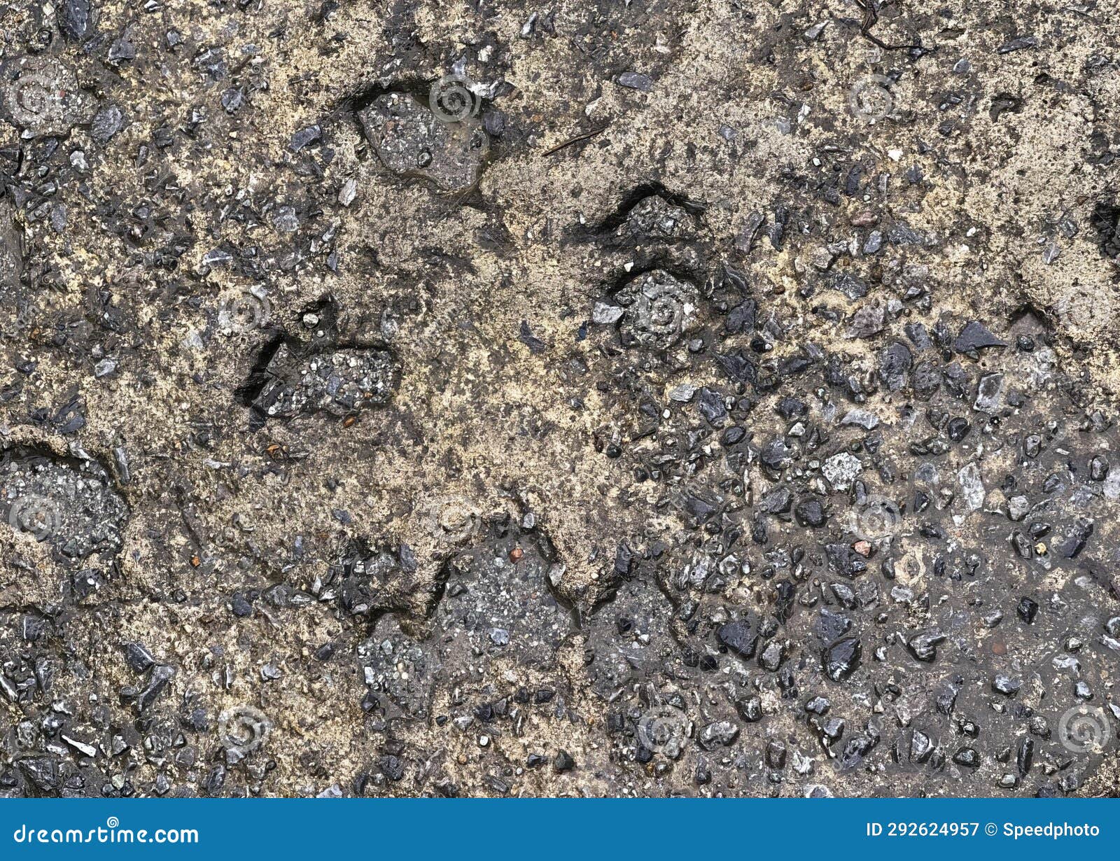 A Close Up of the Ground with a Few Tiny Holes Stock Image - Image of ...