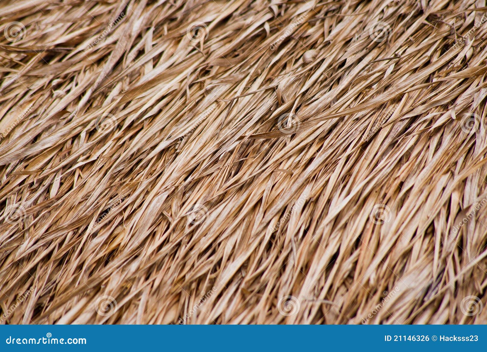 Close Up of Ground. Texture of Straw Stock Photo - Image of agriculture ...