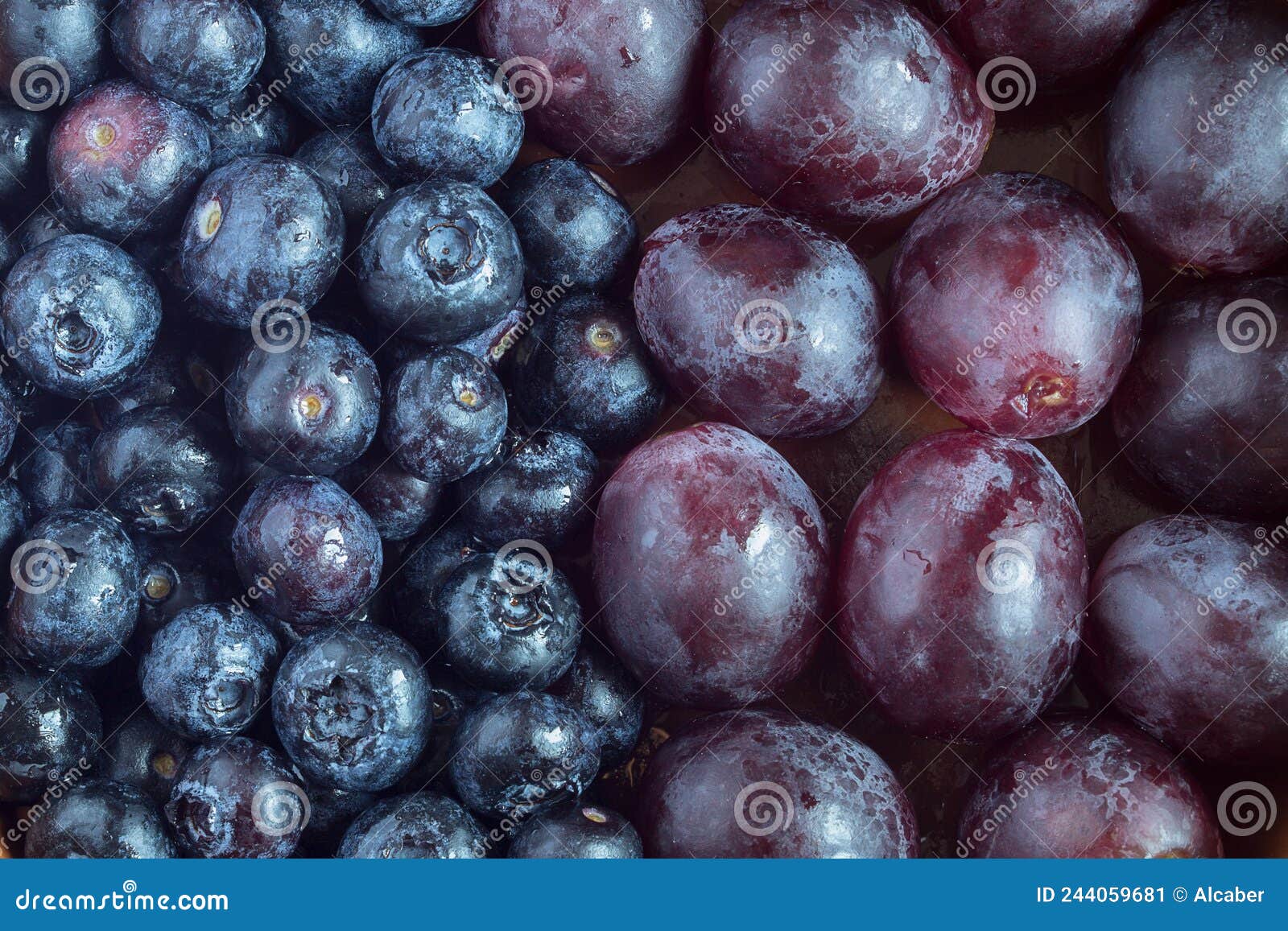 Close-up of a Group of Blueberries in the Middle of the Image and ...