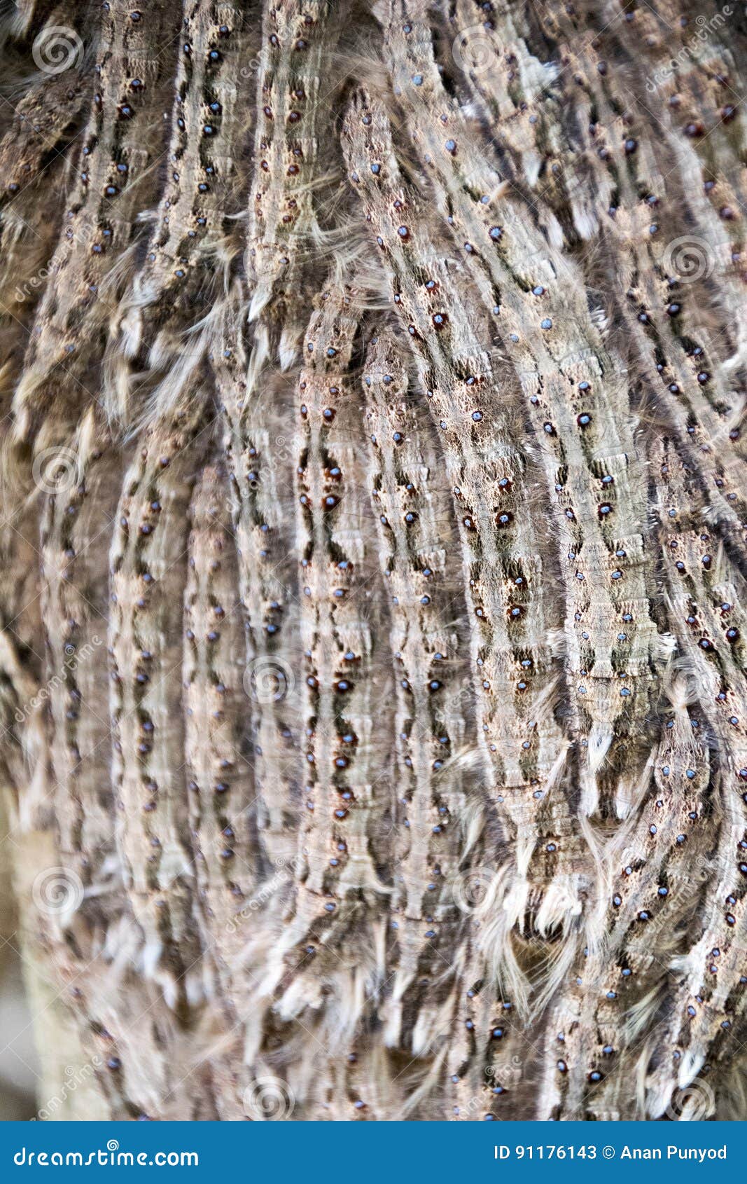 Close Up Group of Caterpillar on Tree Stock Image - Image of pest ...