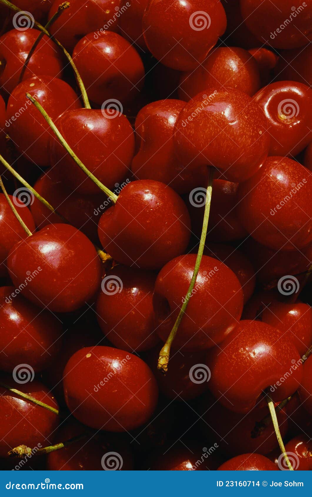 Close Up of a Group of Cherries Stock Photo - Image of diet, fresh ...