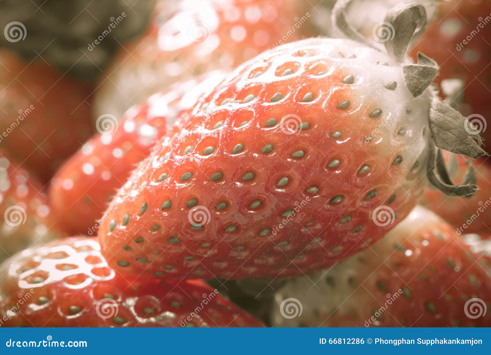 Close Up Group of Fresh Red Strawberry,made with Filter Stock Photo ...