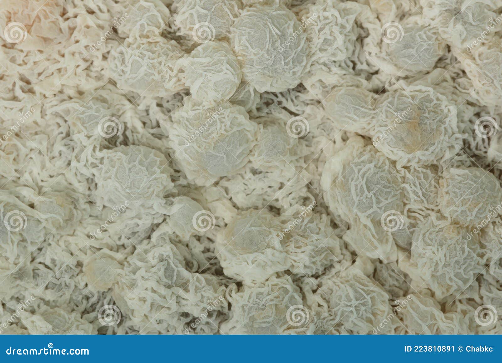 Bacteria And Microorganisms From Termite Nest. Stock Photo ...