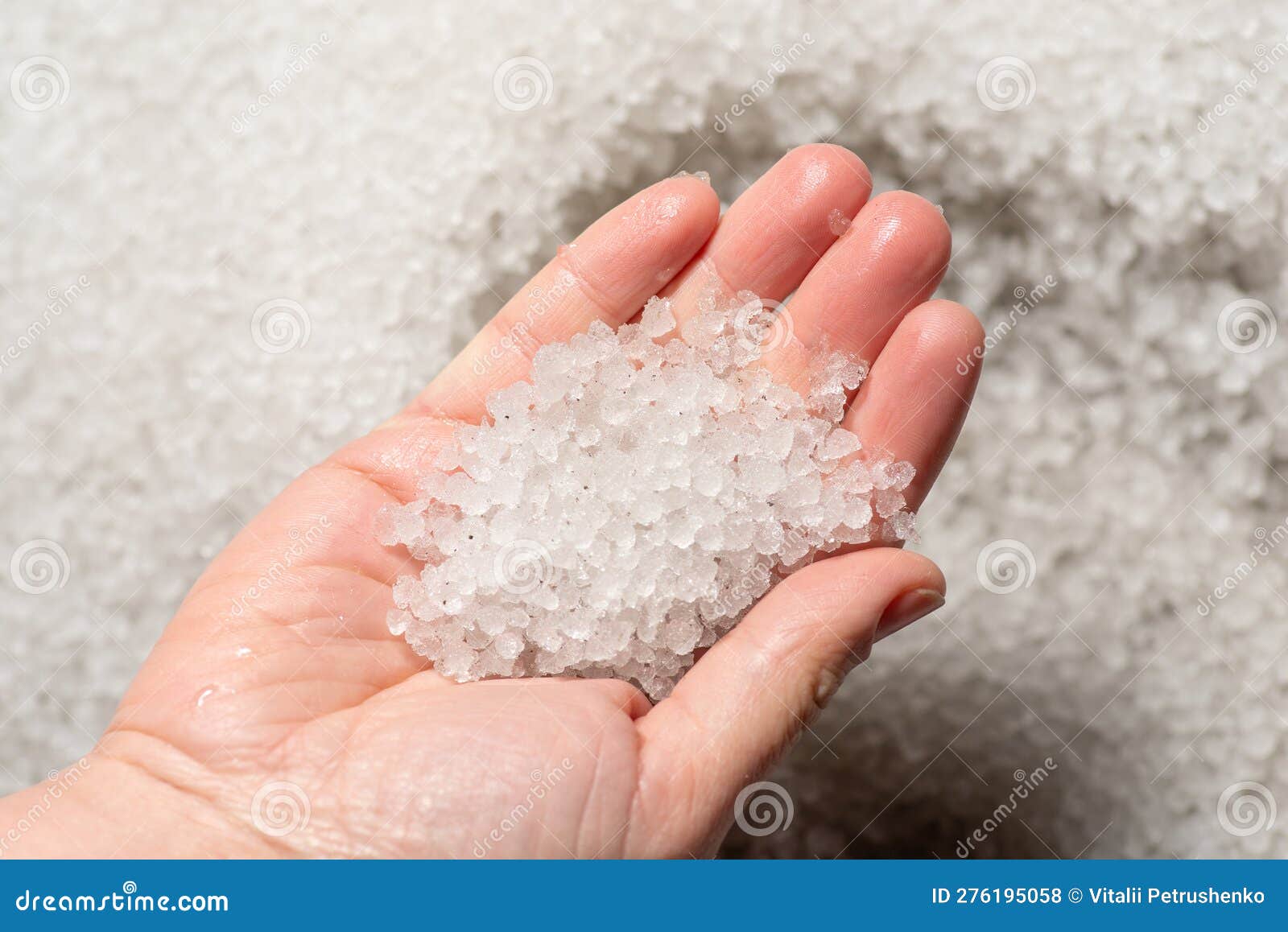 Close Up of Hail in Hands after Hailstorm Stock Photo - Image of ...