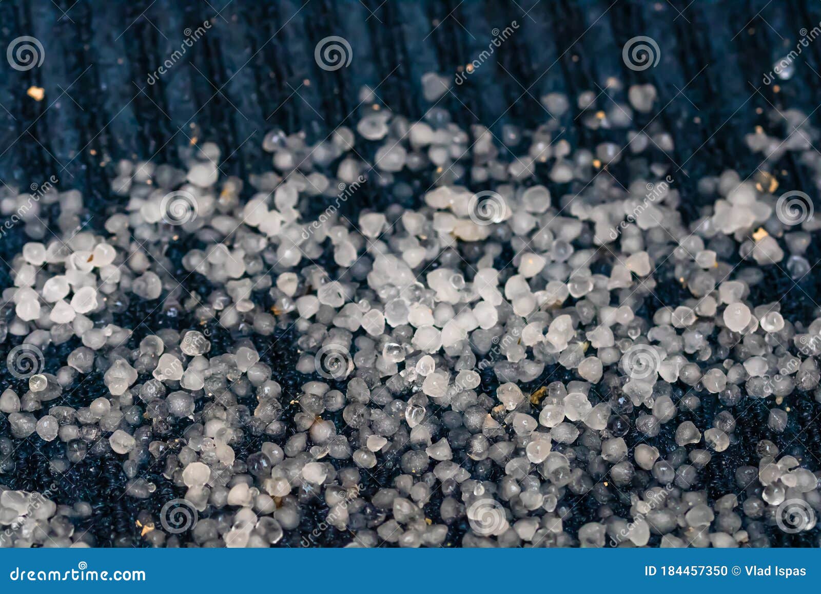 Close Up Of Hail-head, Stud In Wooden Board With Wood Grain Texture ...