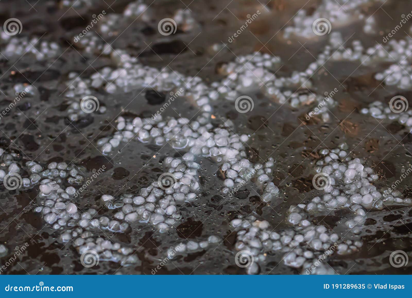 Close Up Of Hail-head, Stud In Wooden Board With Wood Grain Texture ...