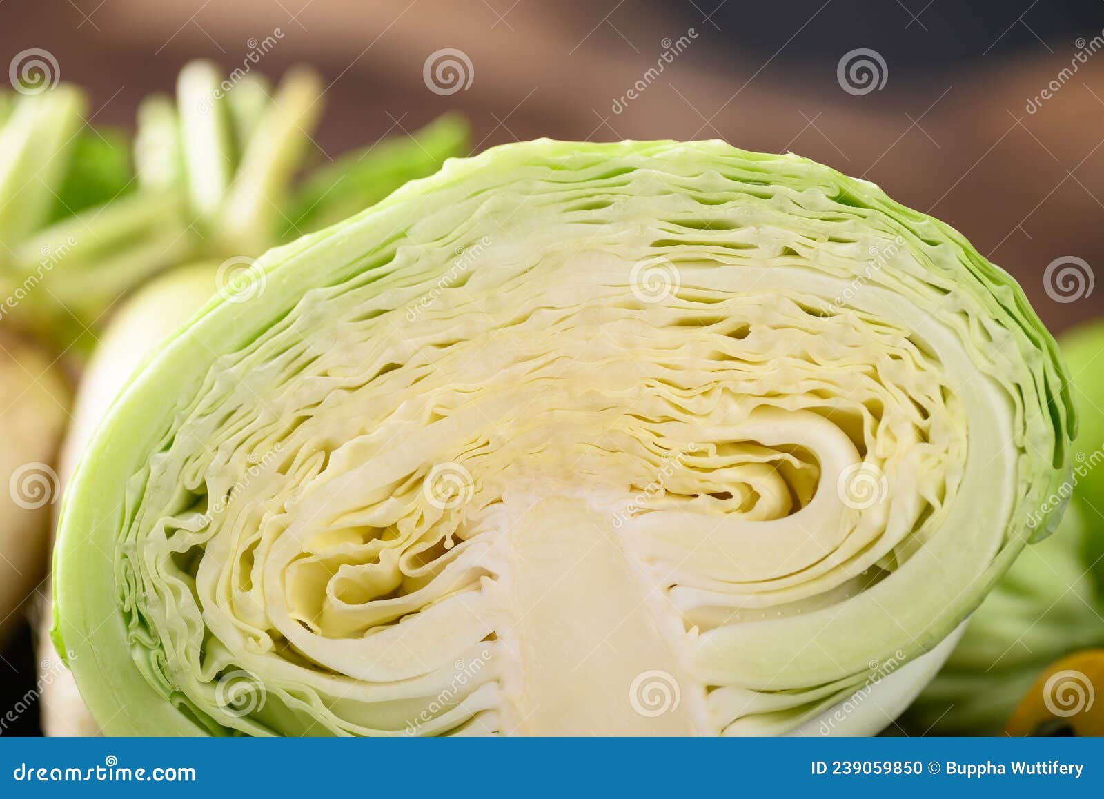 Close Up of Half Cabbage Texture Background Stock Photo - Image of ...