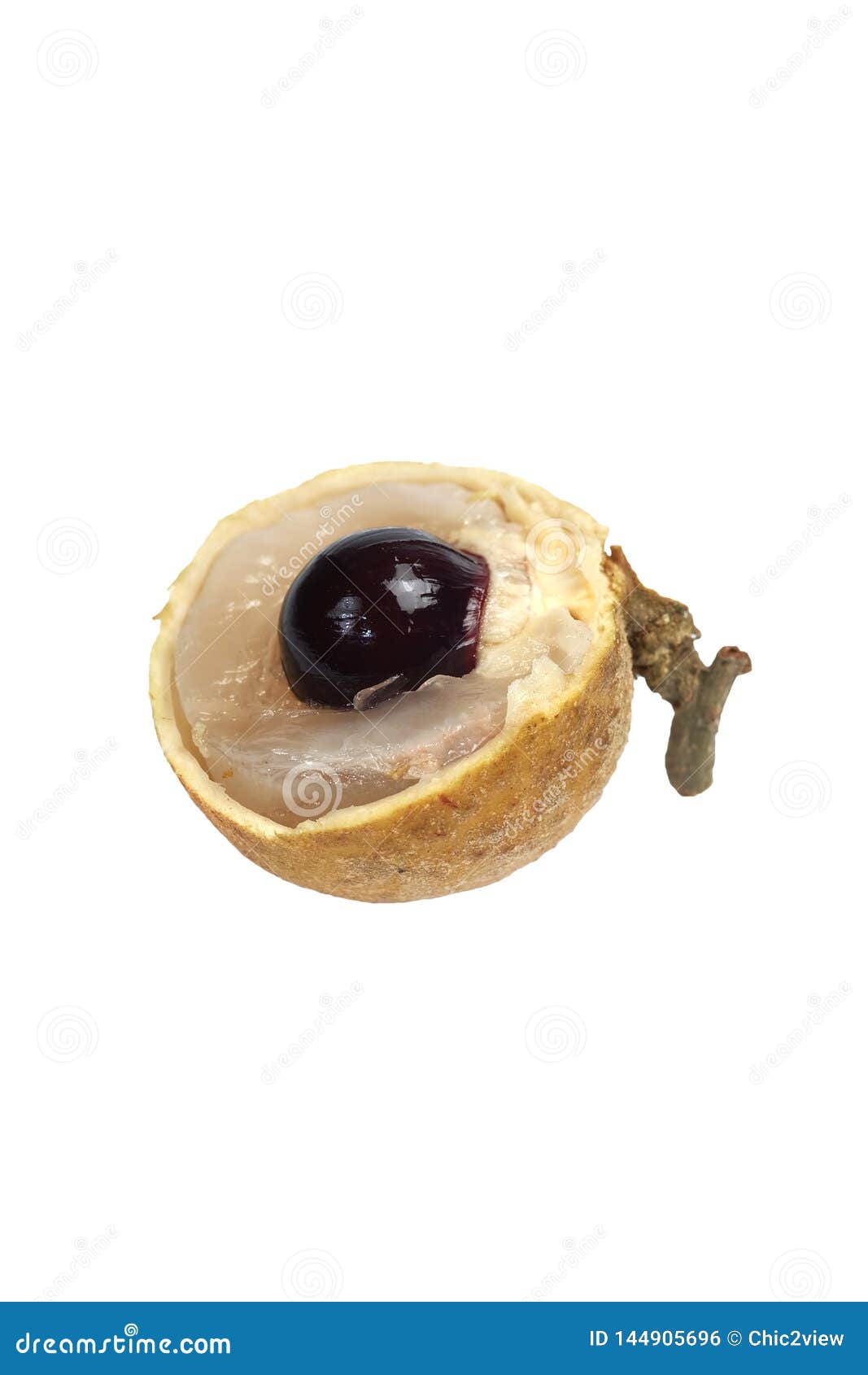 Close Up Half of Longan Isolate Stock Photo - Image of background ...
