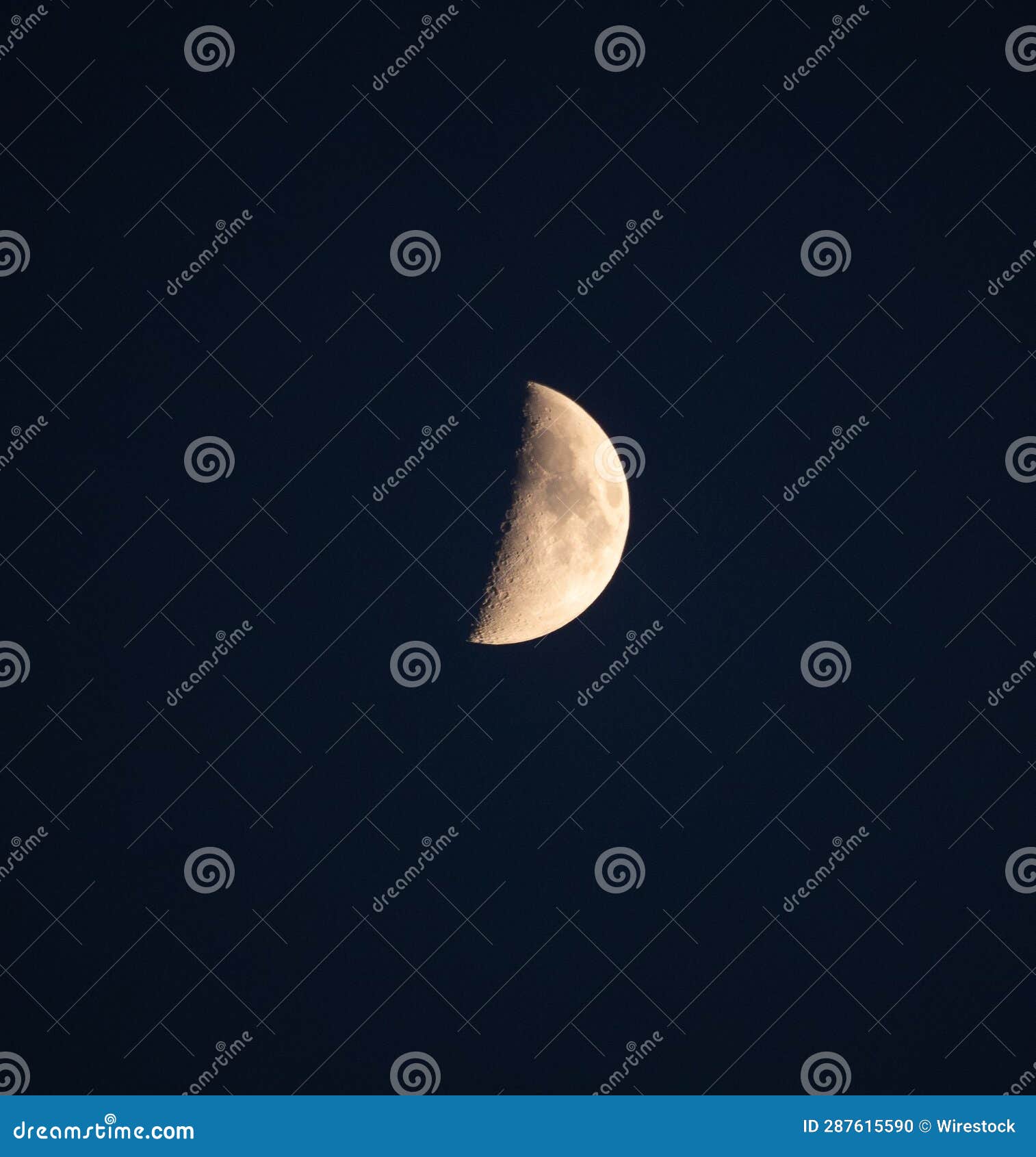 Close-up of a Half-moon Illuminated in the Night Sky Stock Photo ...