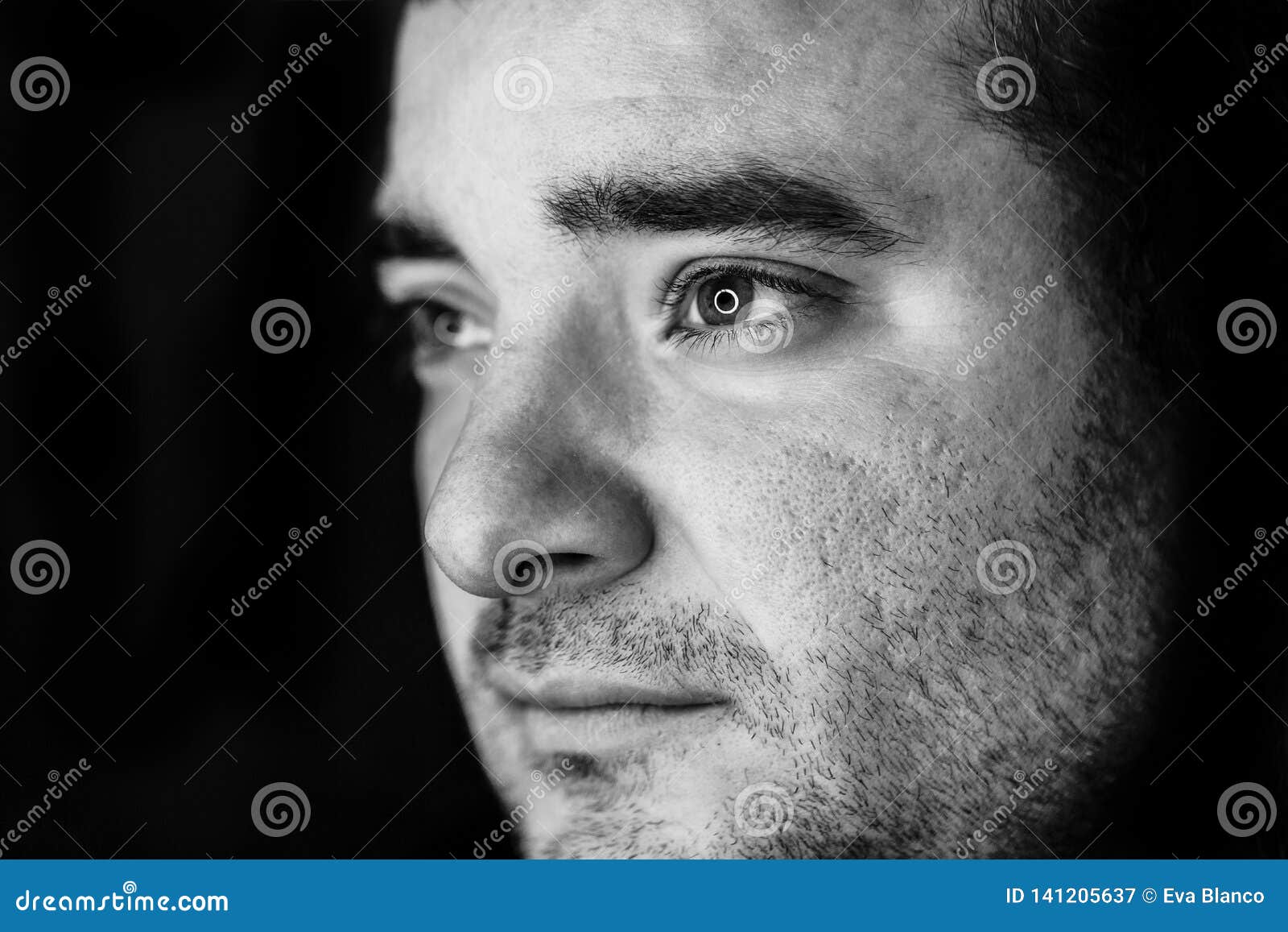 Close Up Half Side Portrait of a Young Man. Studio Shot Stock Image ...