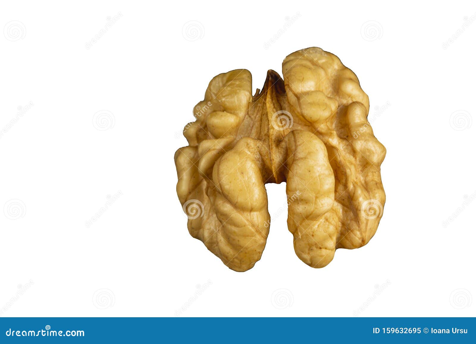 Half Walnut Core Isolated on White Background Stock Image - Image of ...