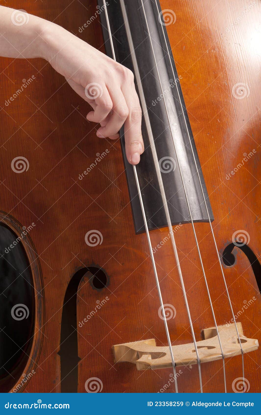 Close-up on Hand on Double Bass Stock Image - Image of studio, color ...