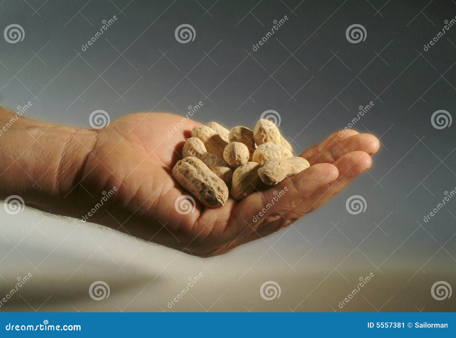 Close-up of a Hand Full of Peanuts Stock Image - Image of peanuts ...
