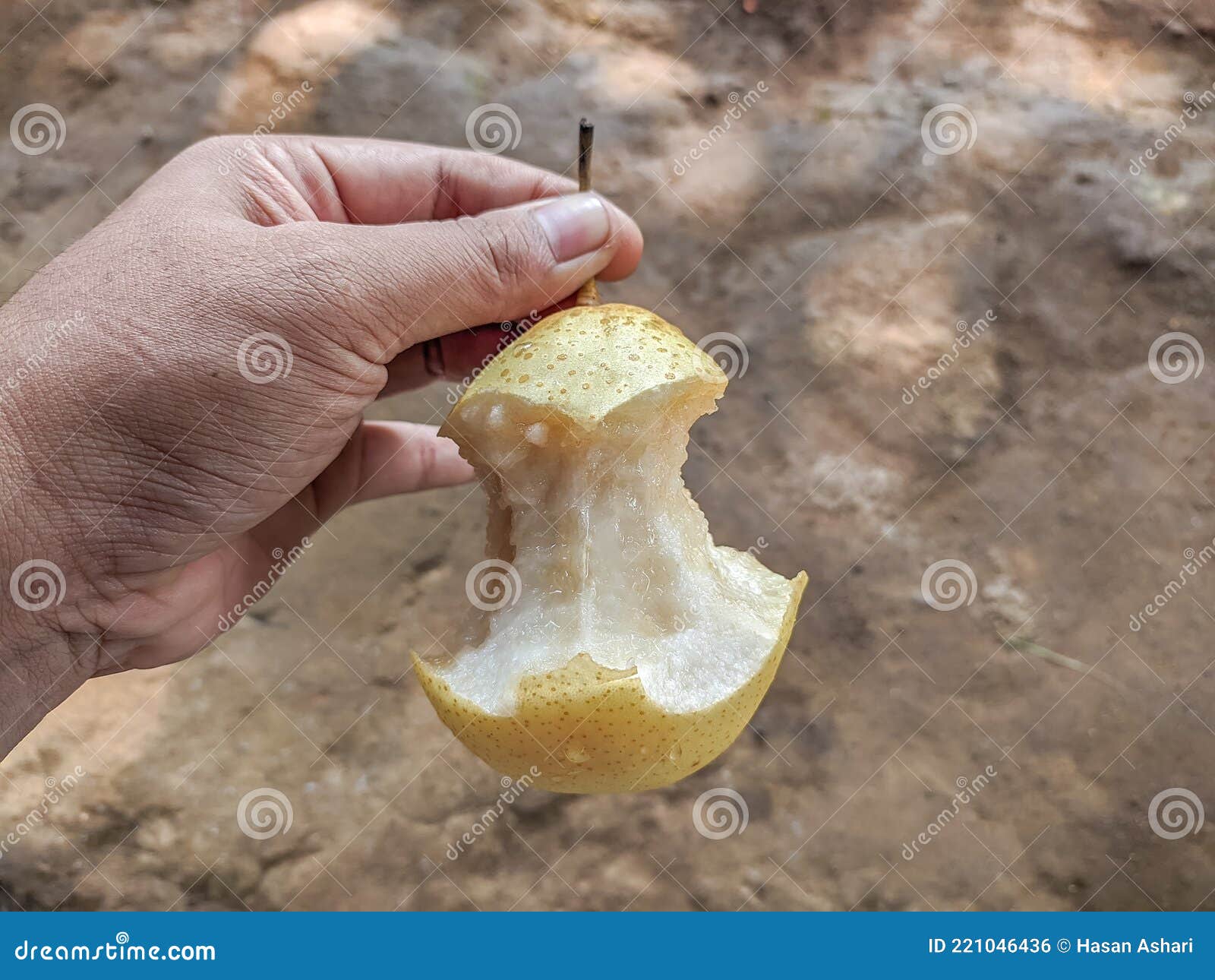 Close-up of Hand Holding Pear with Bite Marks Stock Photo - Image of ...