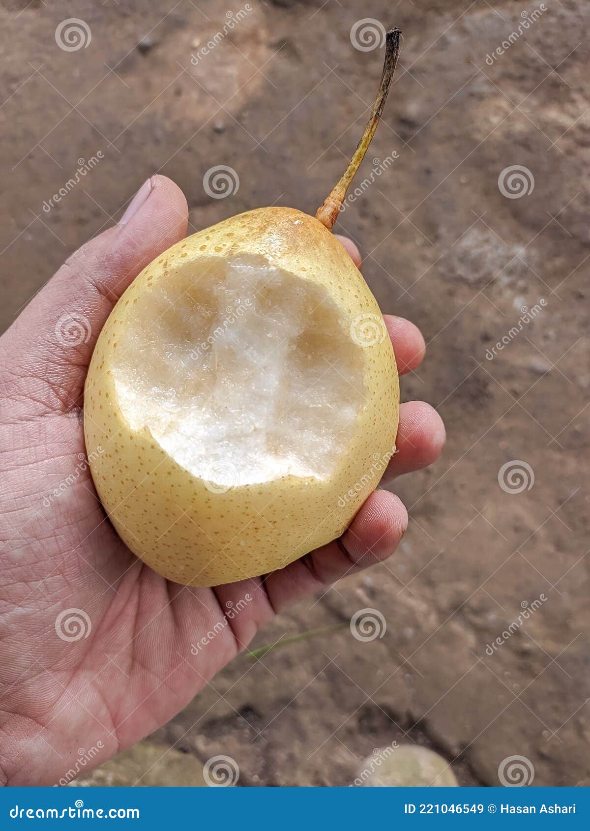 Close-up of Hand Holding Pear with Bite Marks Stock Image - Image of ...