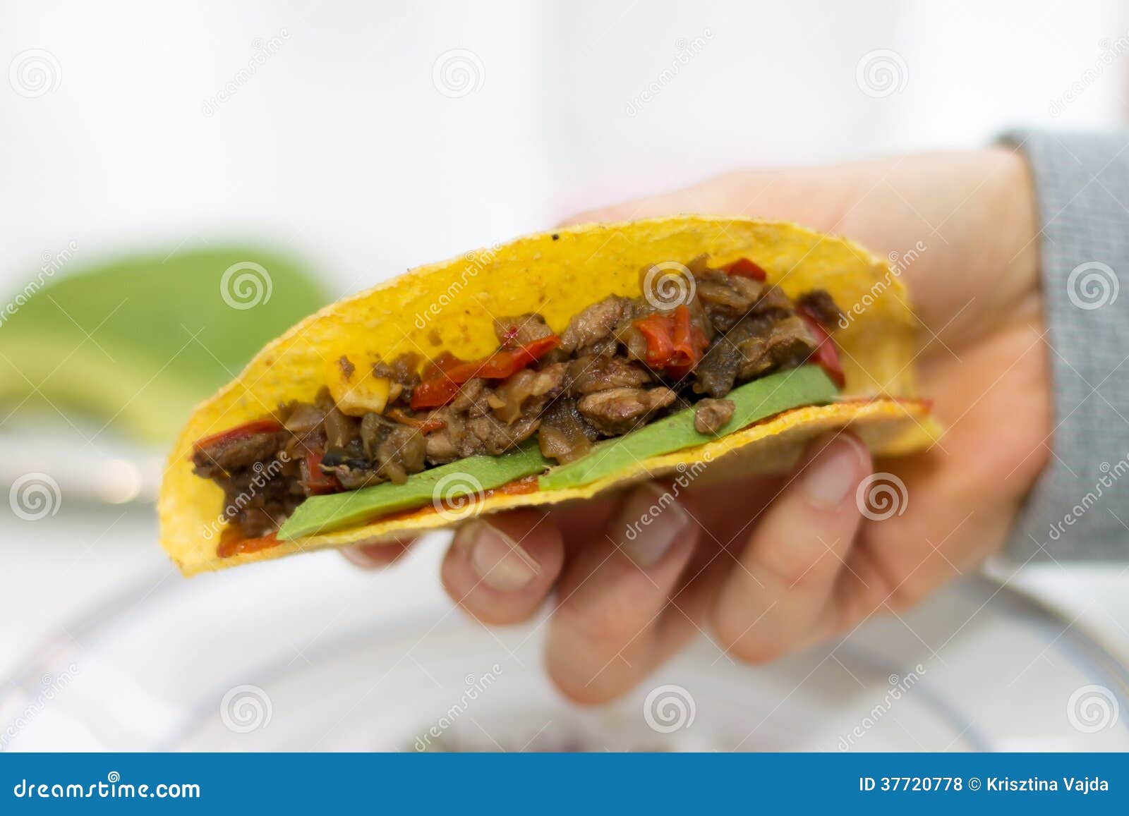 Close-up of Hand Holding a Taco Stock Photo - Image of organic, hold ...