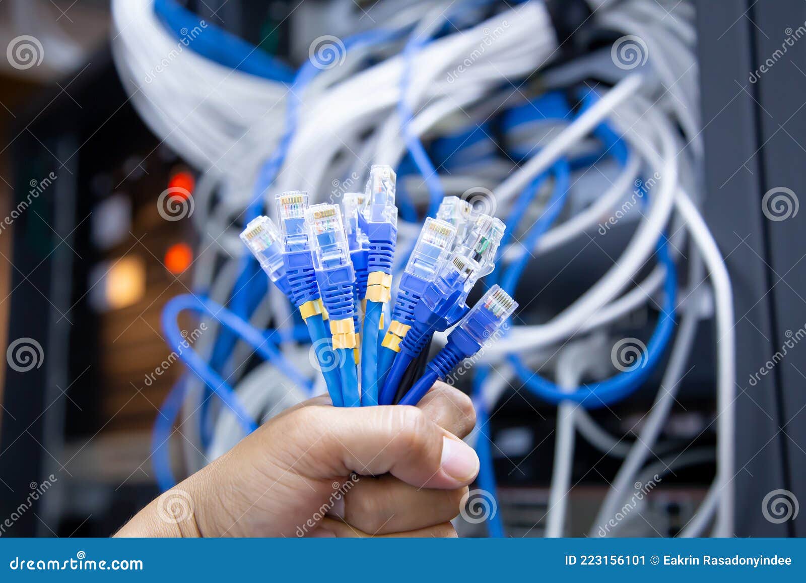 Close-up Hand Holding Wires RJ45 UTP LAN Network Cable and Lots of ...