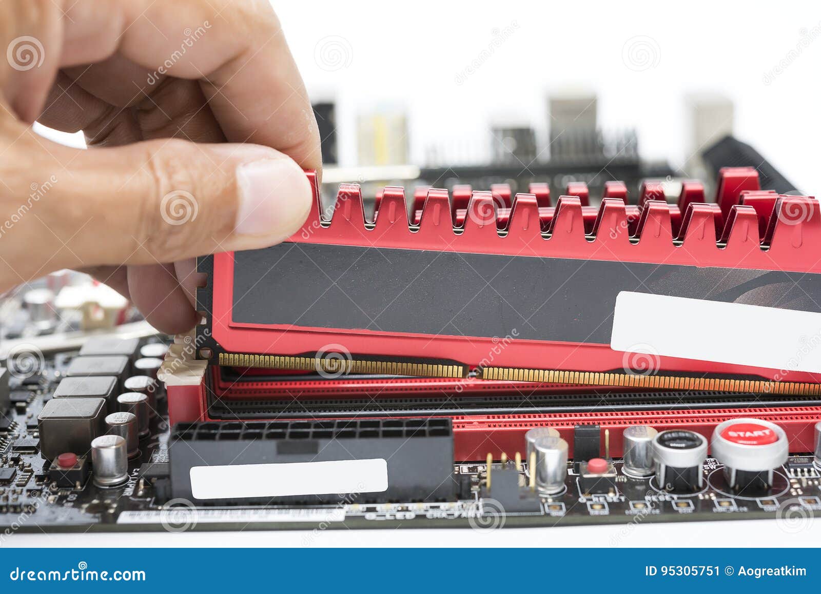 Close Up Hand Install High Performance DDR3 Ram To Ram Slot Isolate ...