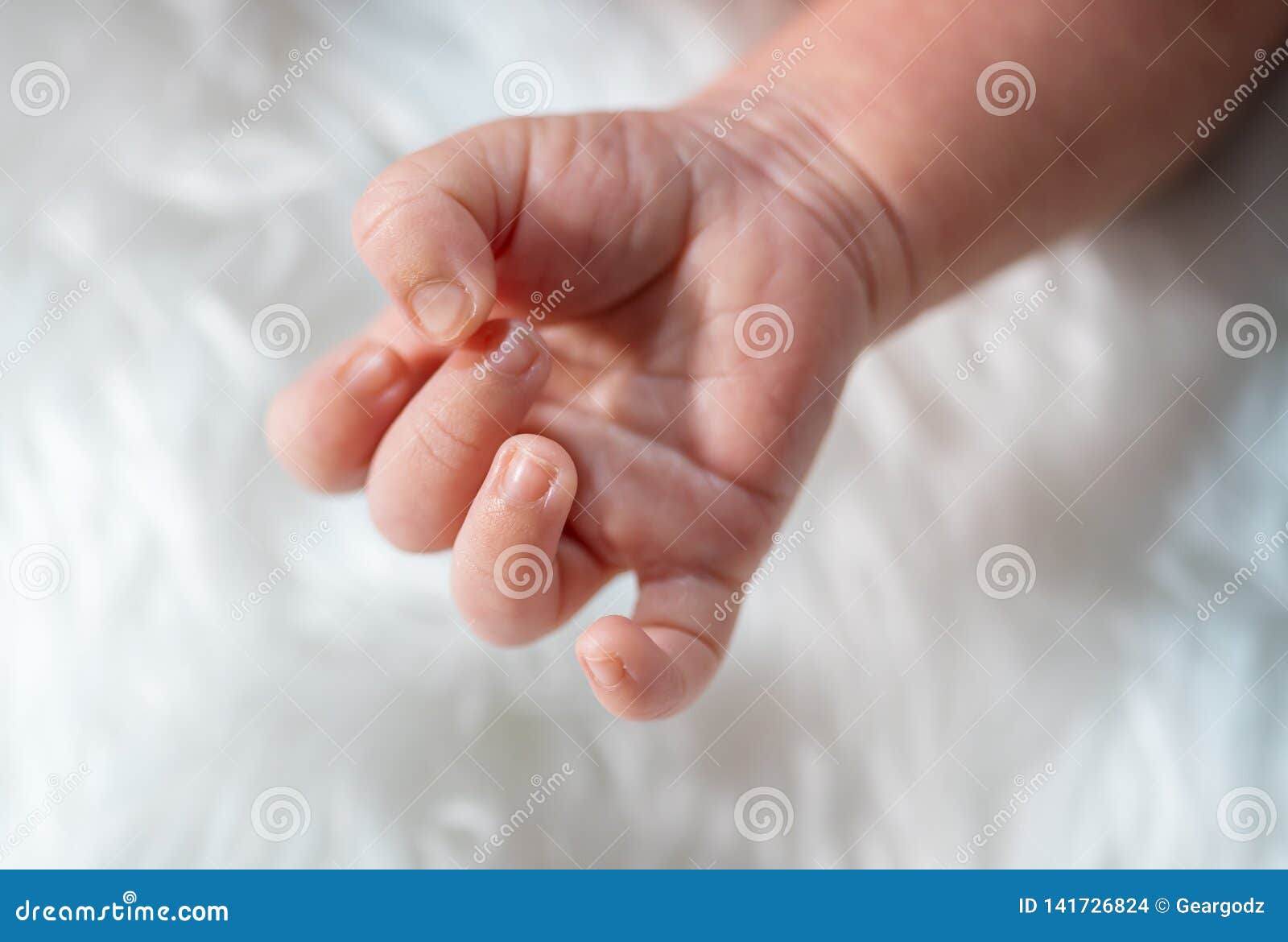 Hand of newborn baby stock photo. Image of newborn, people - 141726824