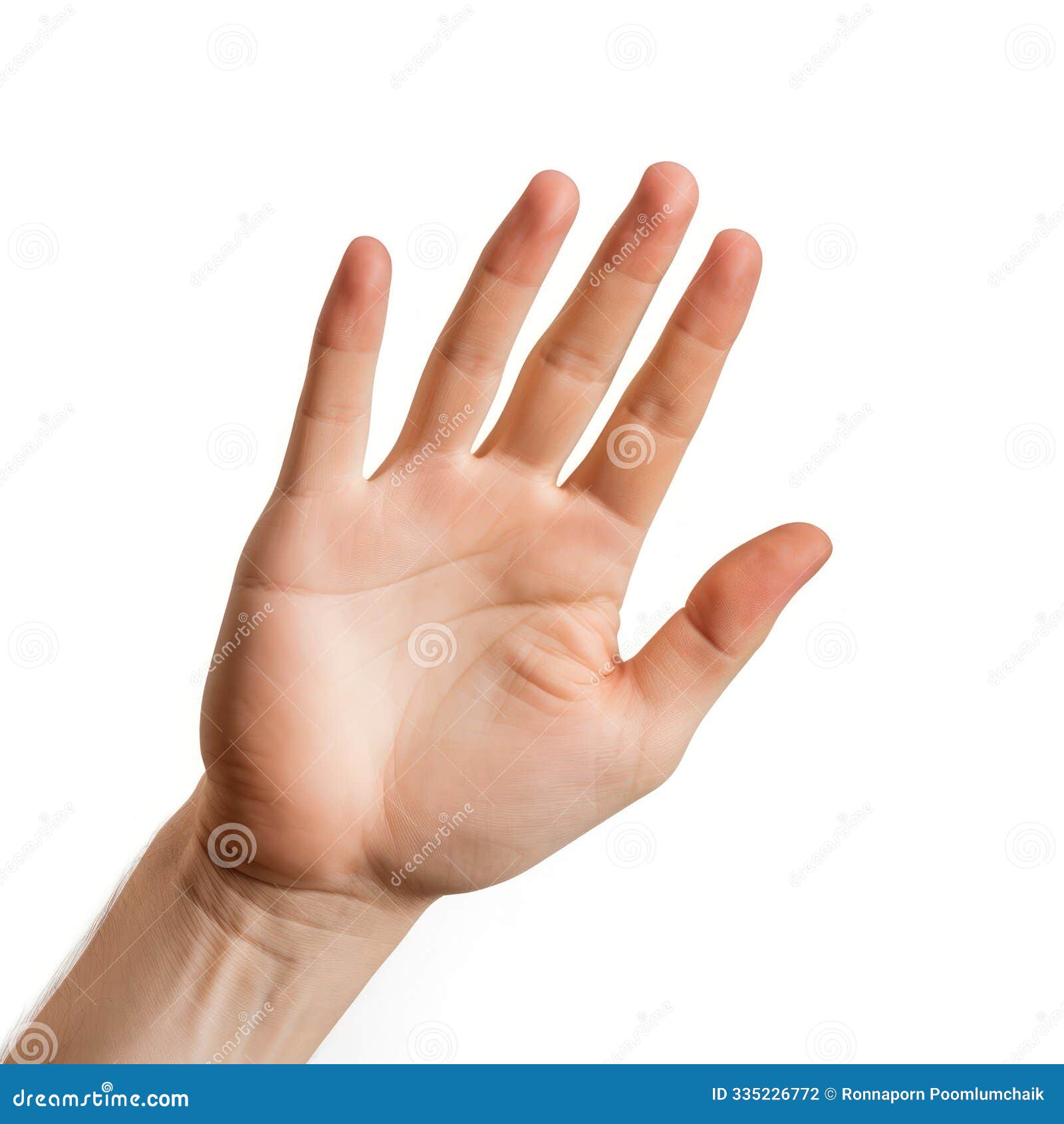 A Close-up of a Hand with Open Palm Reaching Out Against a White ...