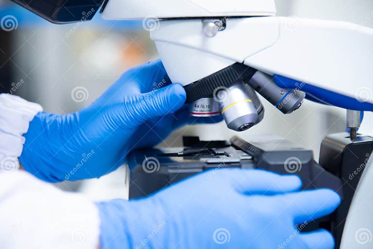Close Up Hand Scientist in Blue Glove Using Microscope Stock Image ...