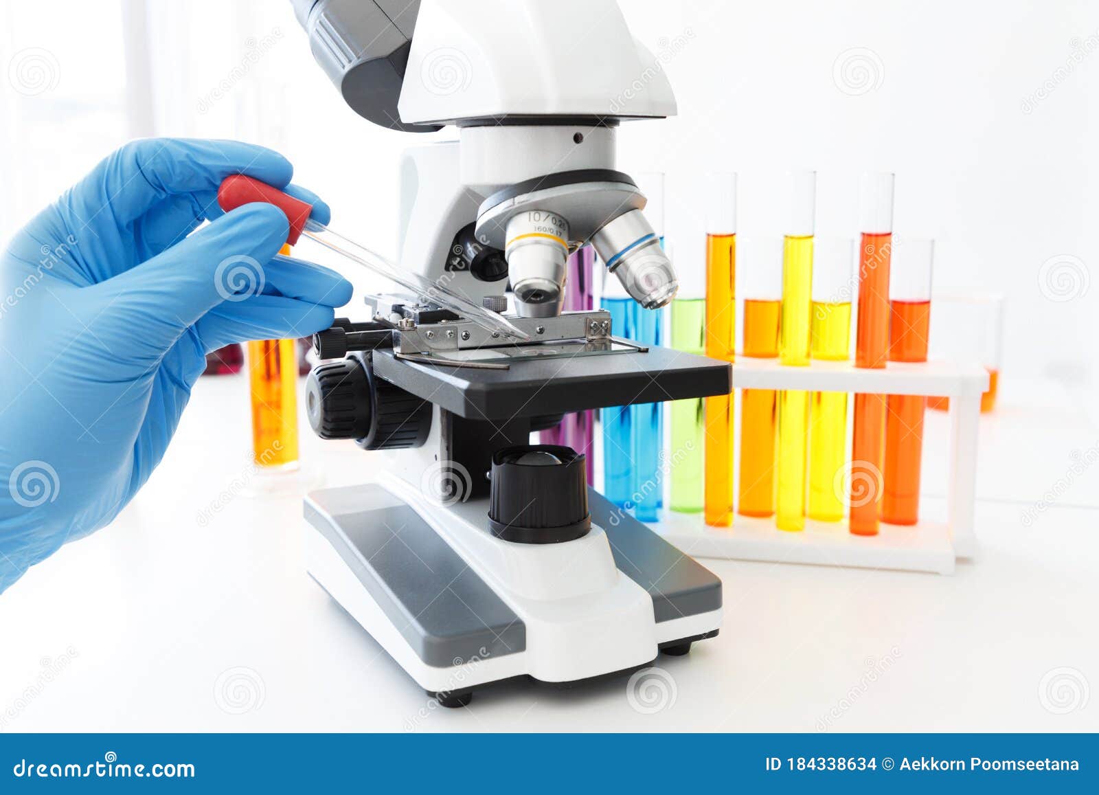 Close Up of Hand of Scientist Drop Sample Solution at Testing Plate ...