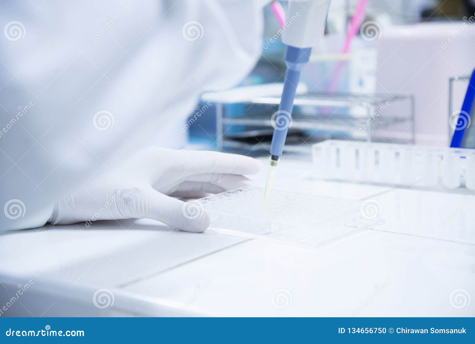 Close Up Hand Scientist Working in Laboratory Stock Photo - Image of ...