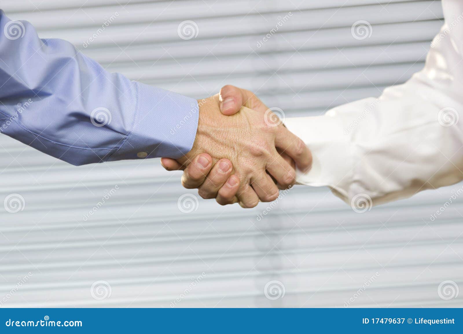 Close up of Hand Shake stock image. Image of white, expressing - 17479637