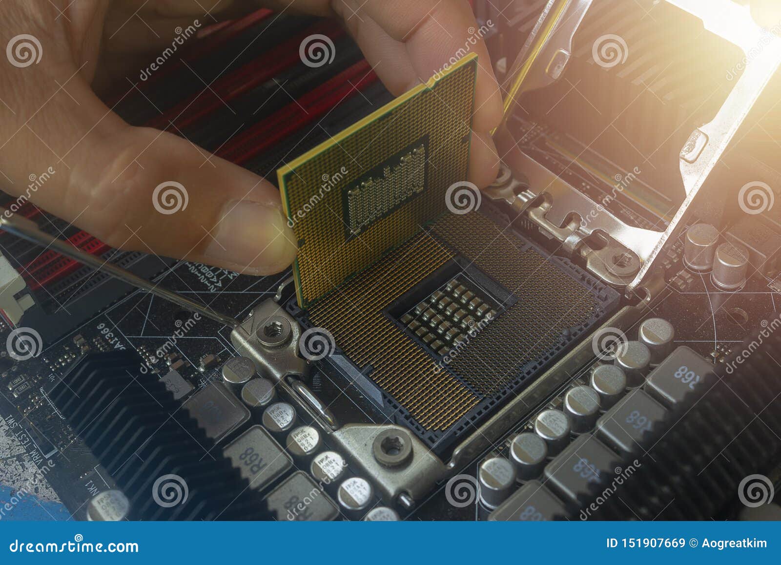 Close Up Hand of Technician Putting CPU on the Socket of Computer ...