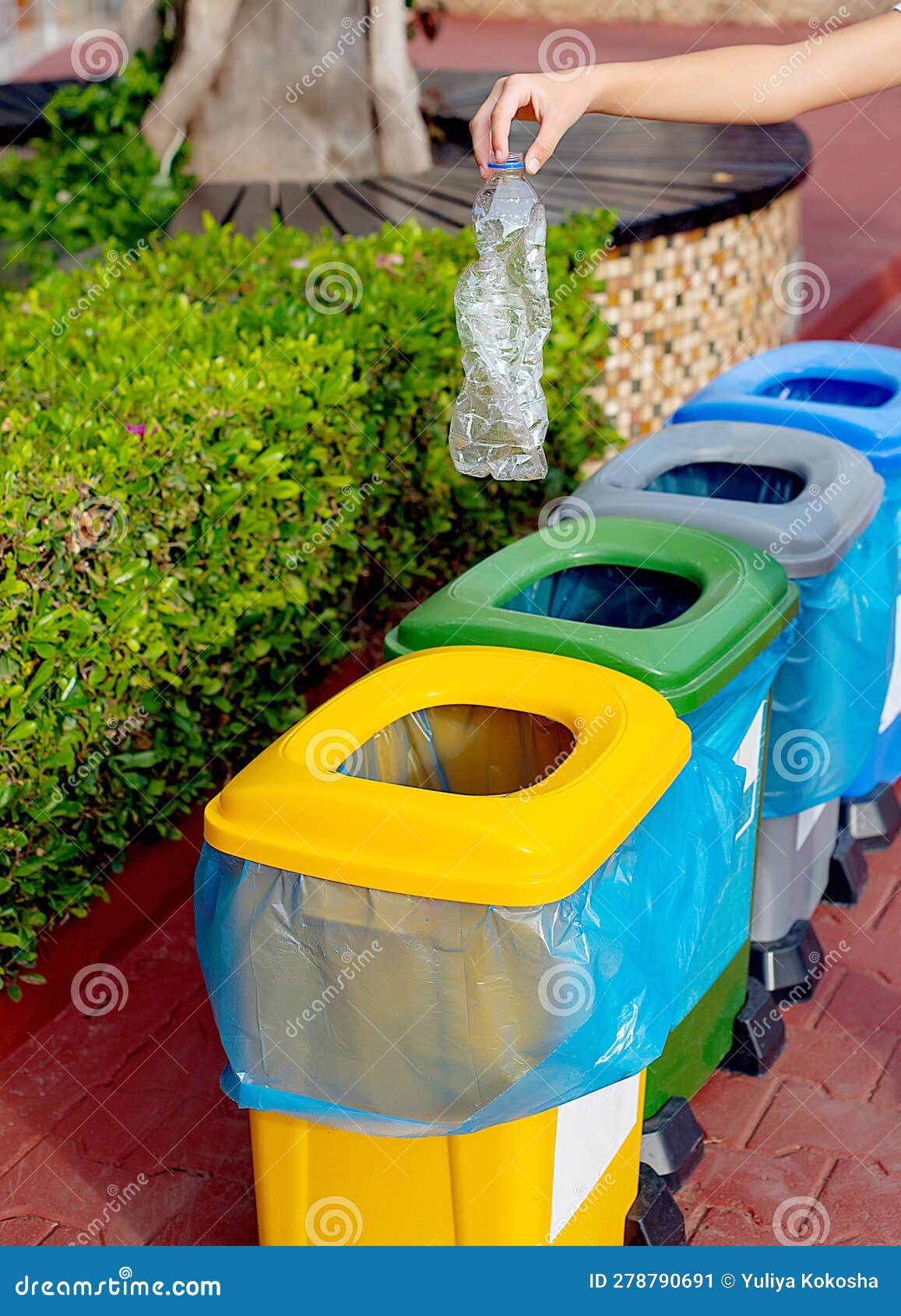 Close Up Hand Throwing Plastic Bottle Recycling Container Garbage ...