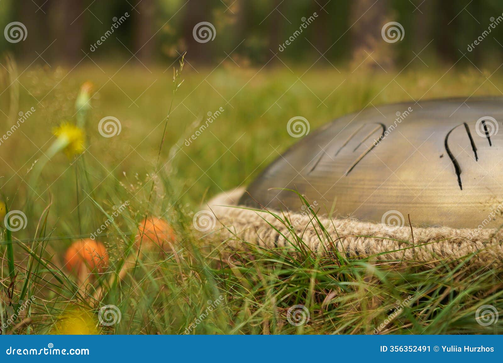 Close-up of a Handpan Placed on Grass in the Forest, with Orange-tipped ...