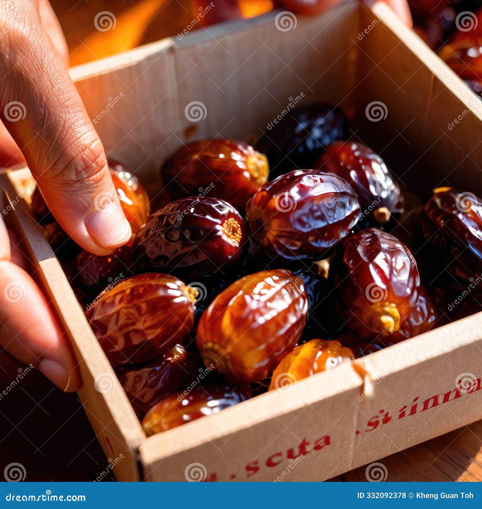Close-up of Hands Holding Dates into a Box Stock Illustration ...