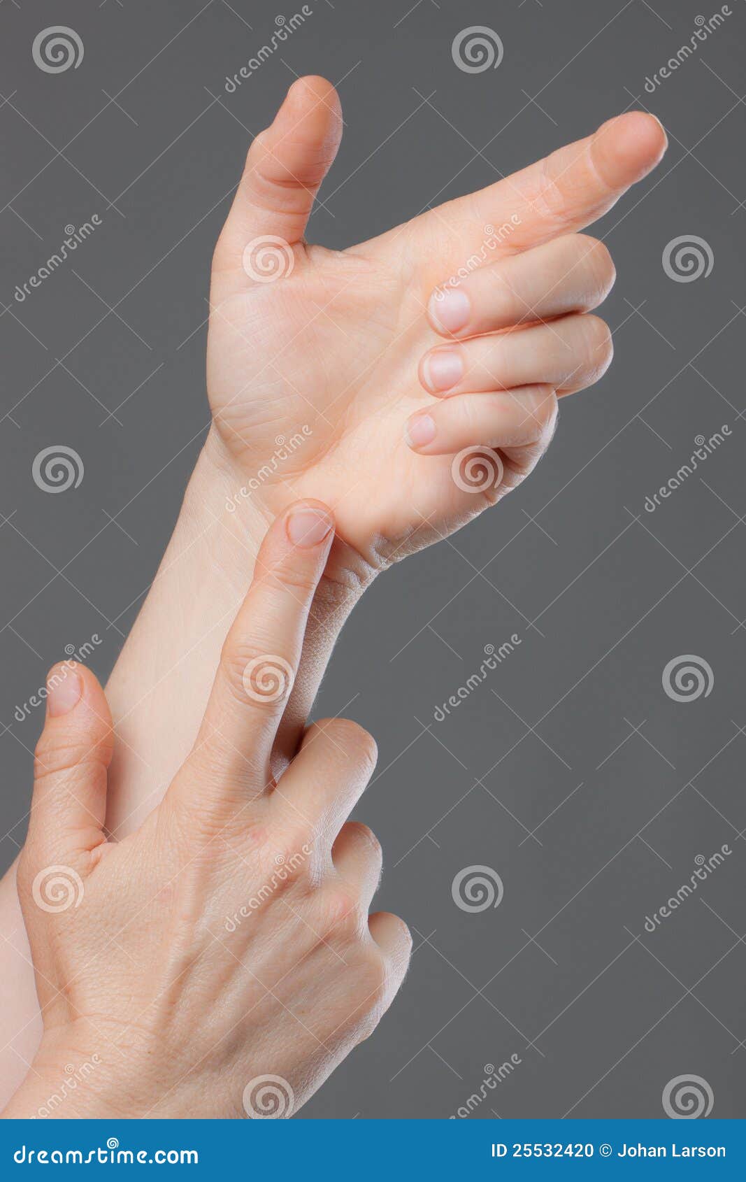 Close-up of Hands Holding Nothing Stock Photo - Image of person ...
