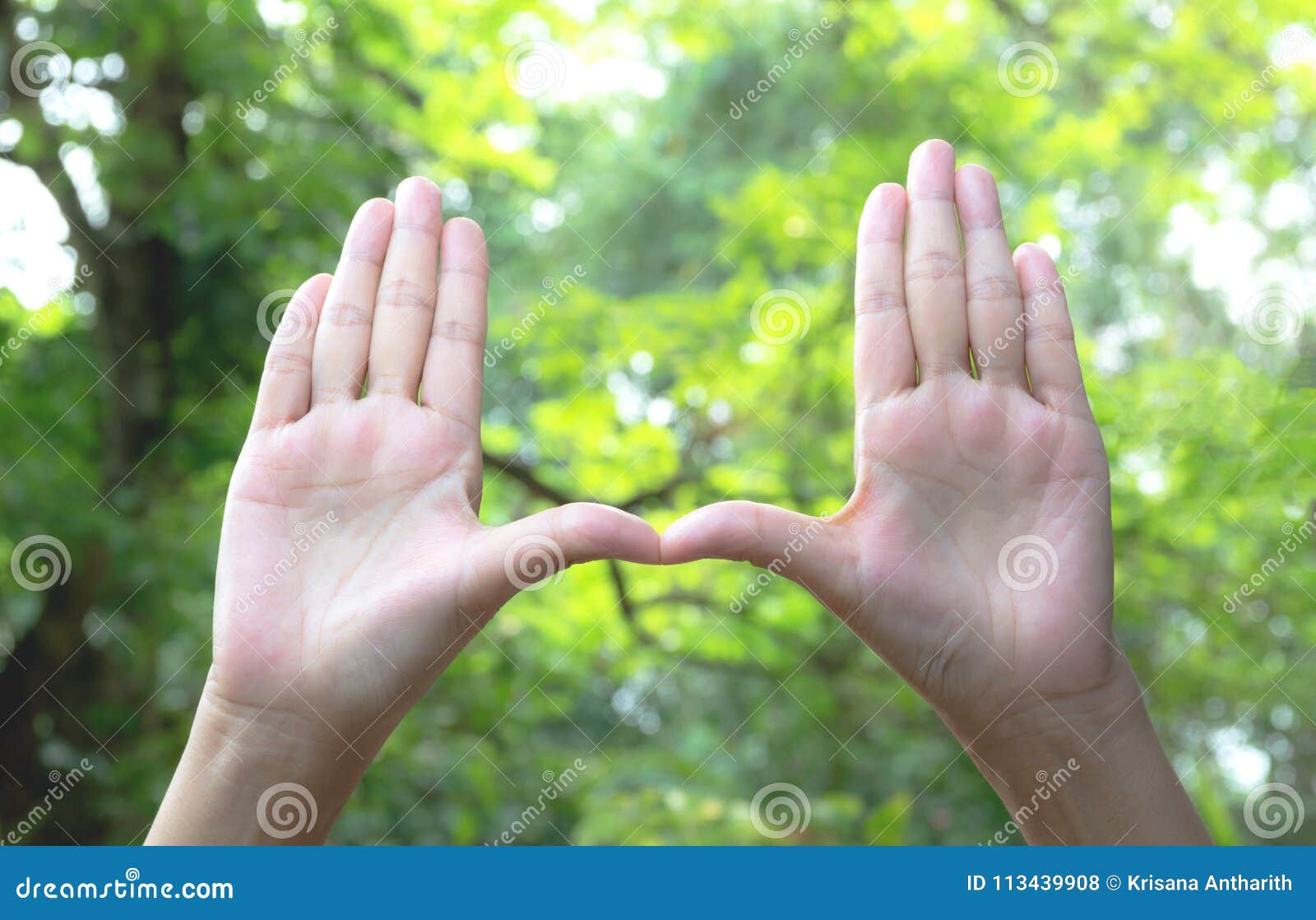 Close Up of Hands Making Frame Gesture. Close Up of Woman Hands Stock ...