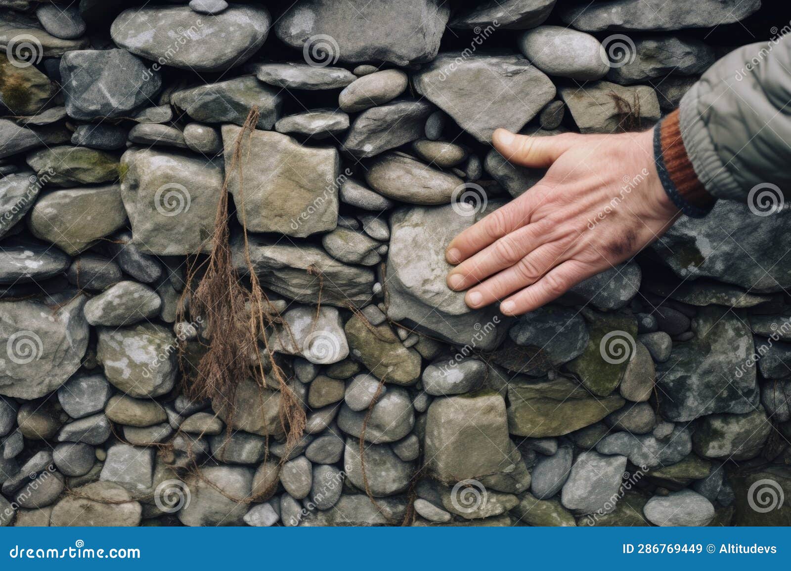 Close-up of Hands Placing Stones in Dry Stone Wall Stock Illustration ...