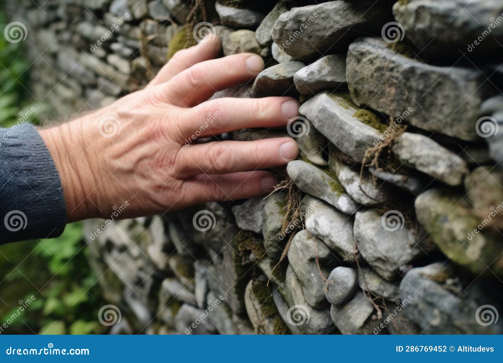Close-up of Hands Placing Stones in Dry Stone Wall Stock Illustration ...