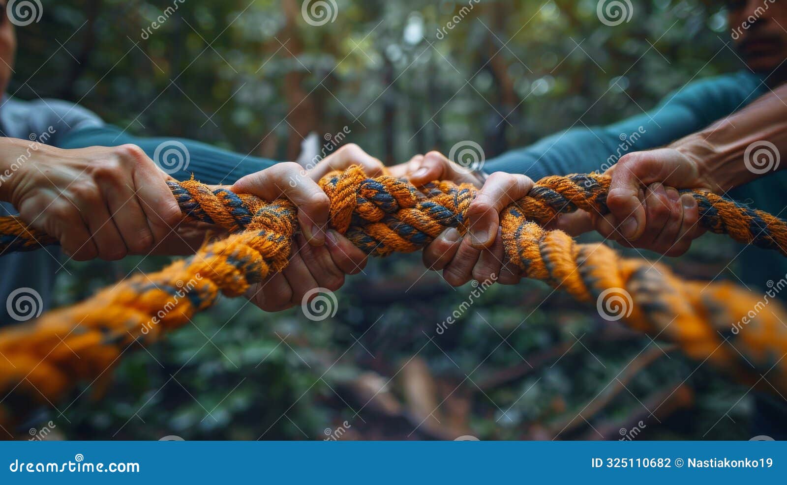 Close-up of Hands Pulling a Rope during a Tug of War in a Forest ...