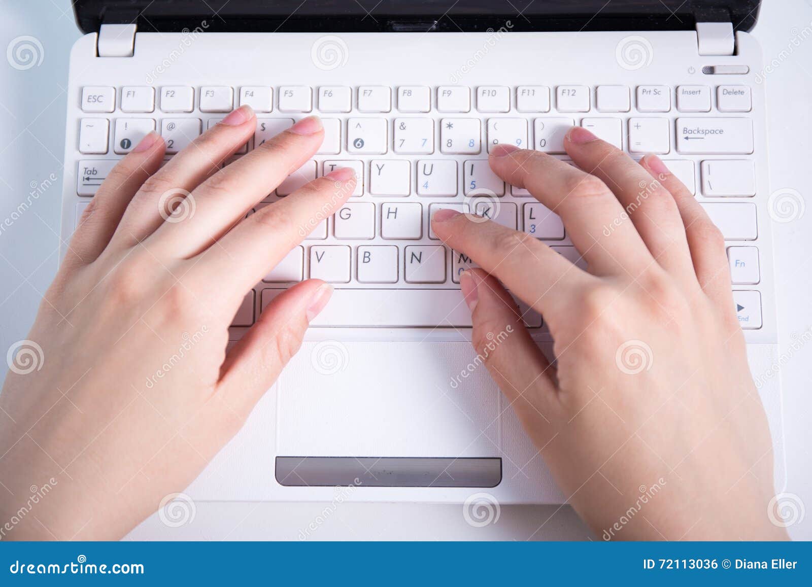 Close Up of Hands Typing on Keyboard Stock Photo - Image of corporate ...